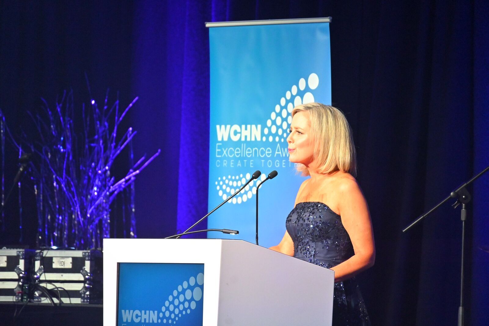 Women’s and Children’s Health Network • WCHN Excellence Awards 2022 ...