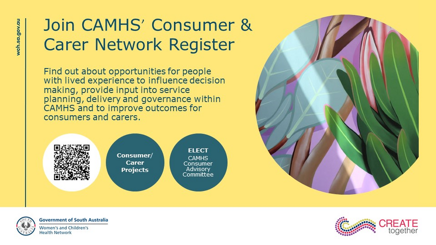 Women’s and Children’s Health Network • CAMHS Consumer and Carer ...
