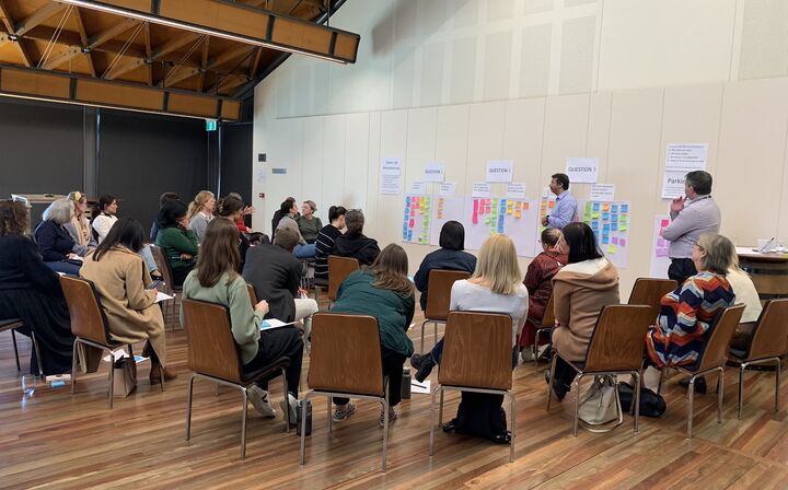 Women’s and Children’s Health Network • CAMHS Strategic Review