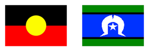 Women’s and Children’s Health Network • Volunteering Opportunities