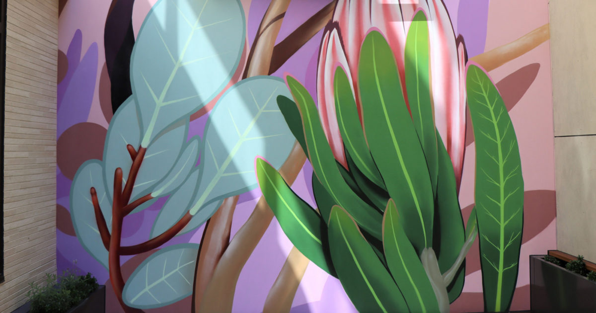 Women’s and Children’s Health Network • Child and Adolescent Mental ...